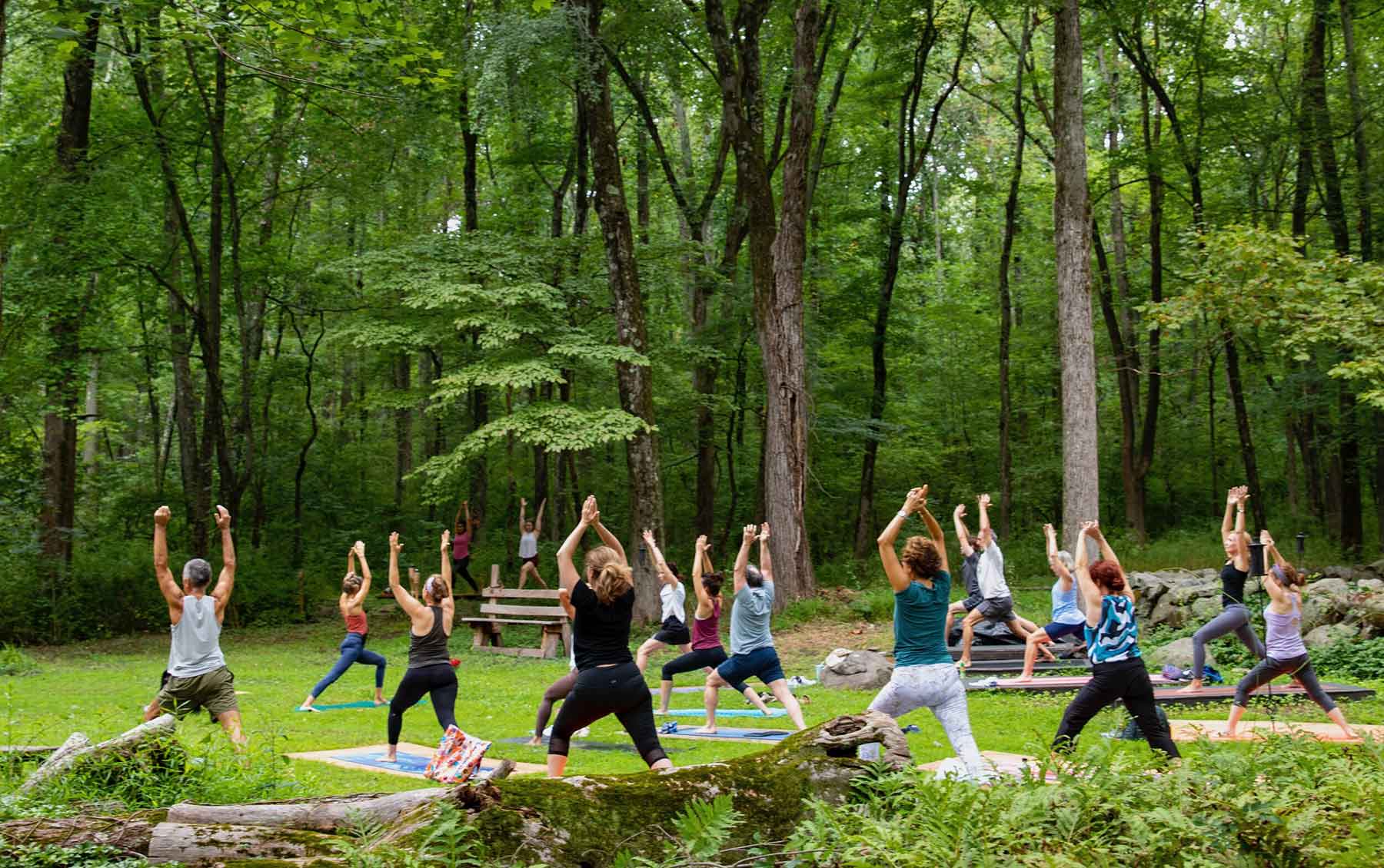 Outdoor Yoga experience in Epirus - Epirus Odyssey, Day Tours ...